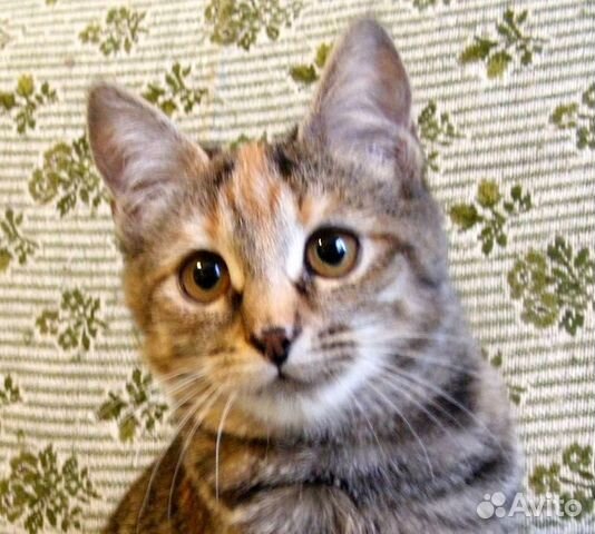 Манечка., поцелованная солнышком. (10 мес.)