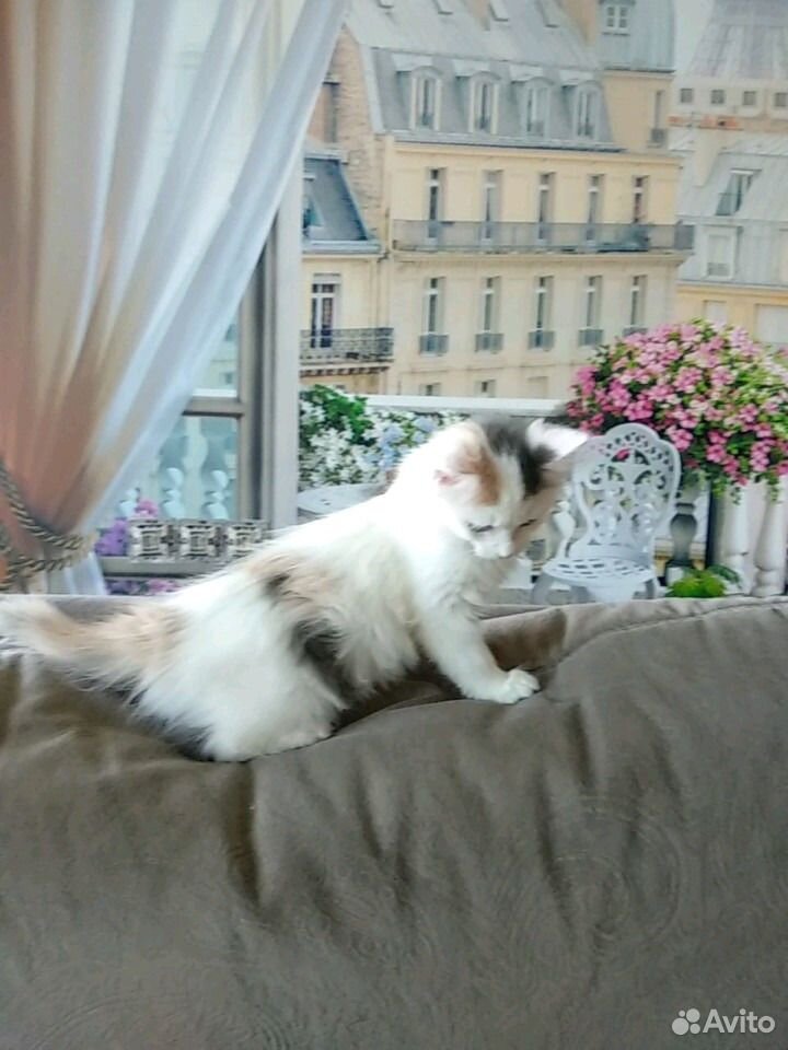 Зося