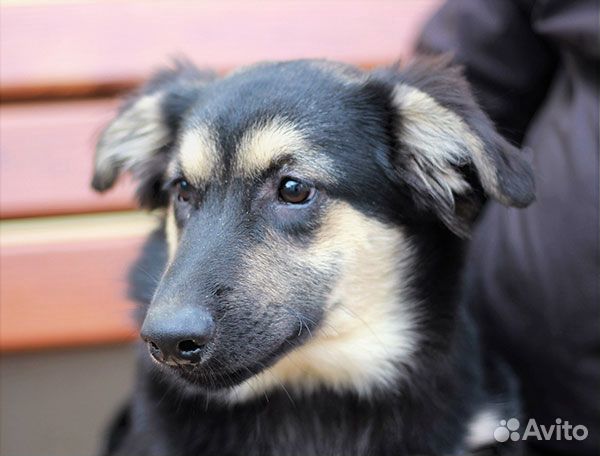 Возьмите меня домой