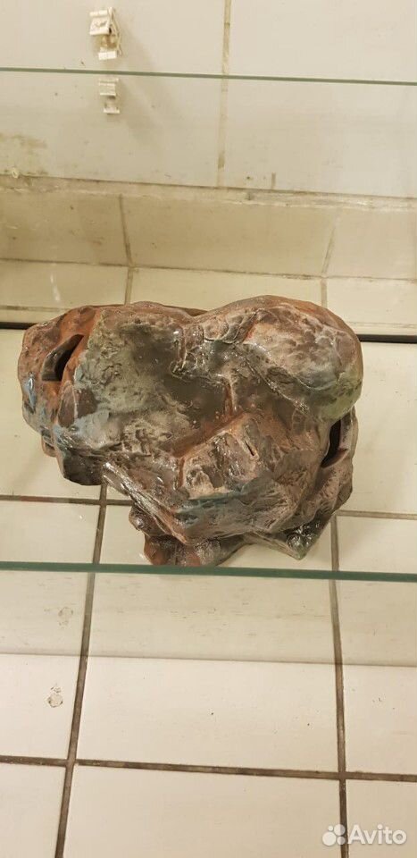 Остров для черепахи