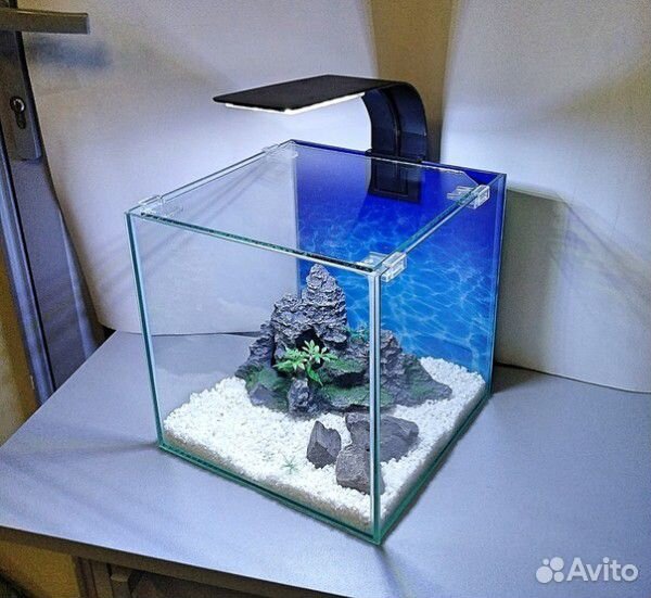 Аквариум куб с петушком и светом