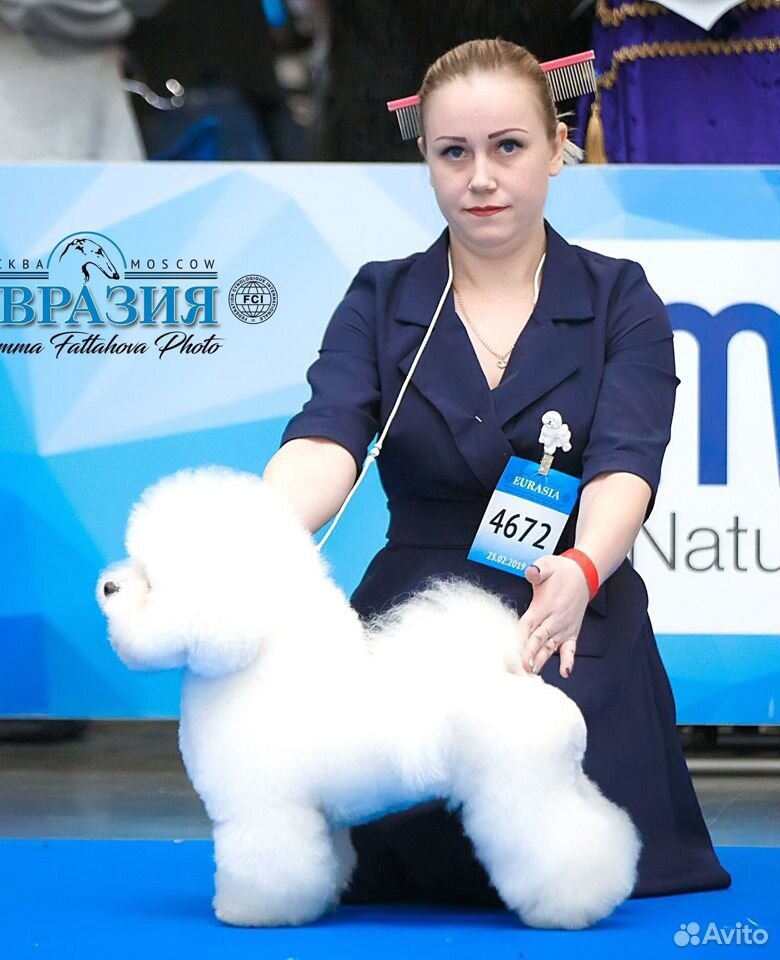 Предложение заводчикам