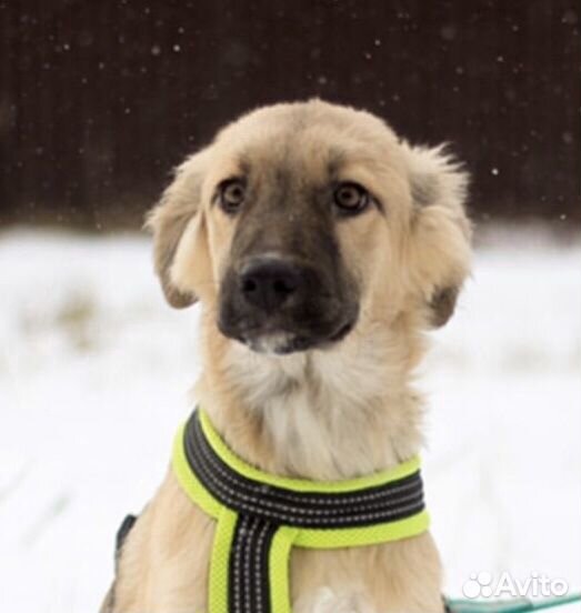 Малышка Линда