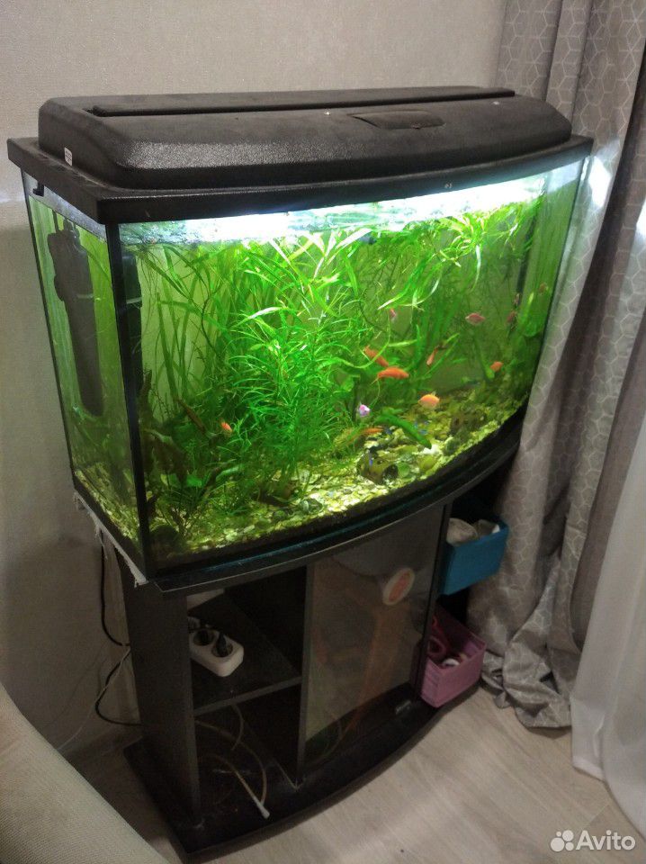 Аквариум