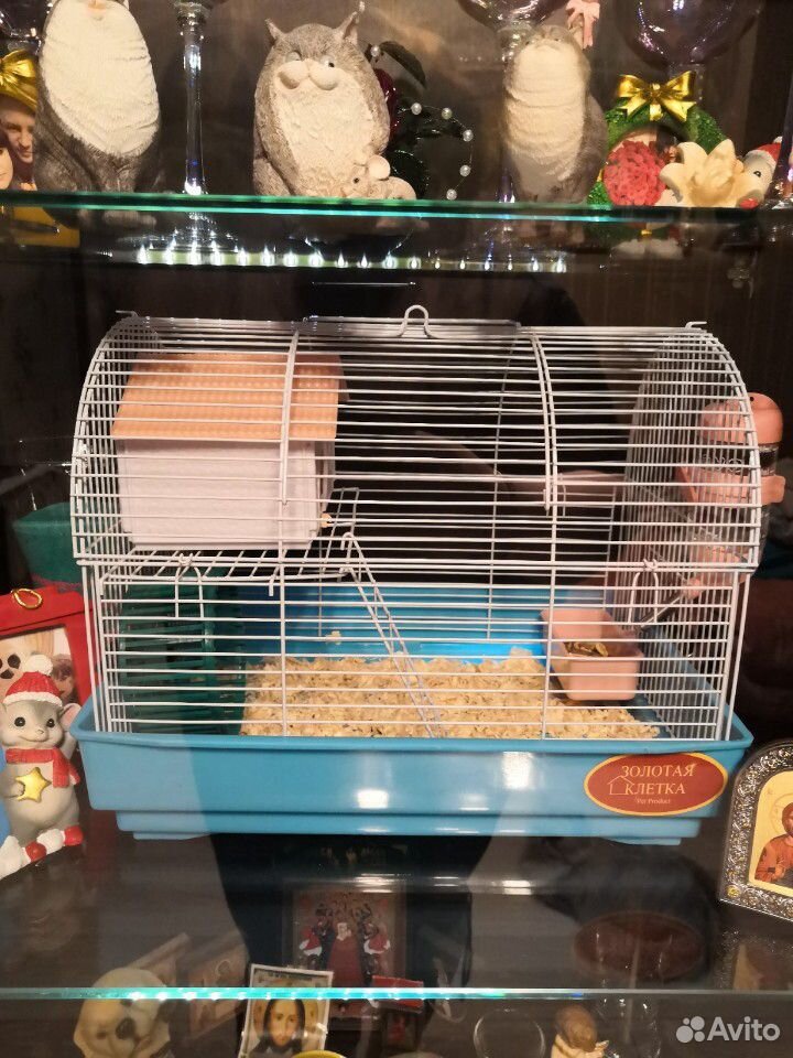 Мышонок с клеткой