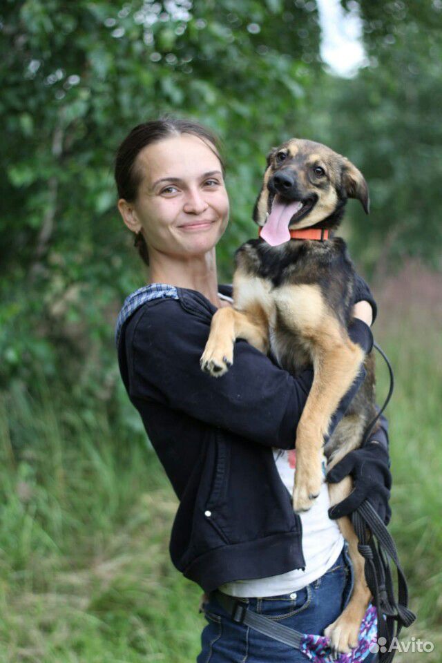 Маленький щенок Кнопочка в добрые руки