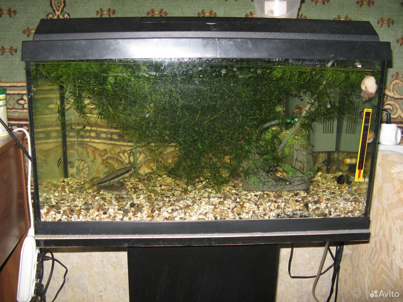 Пресный аквариум на 60л. с тумбой
