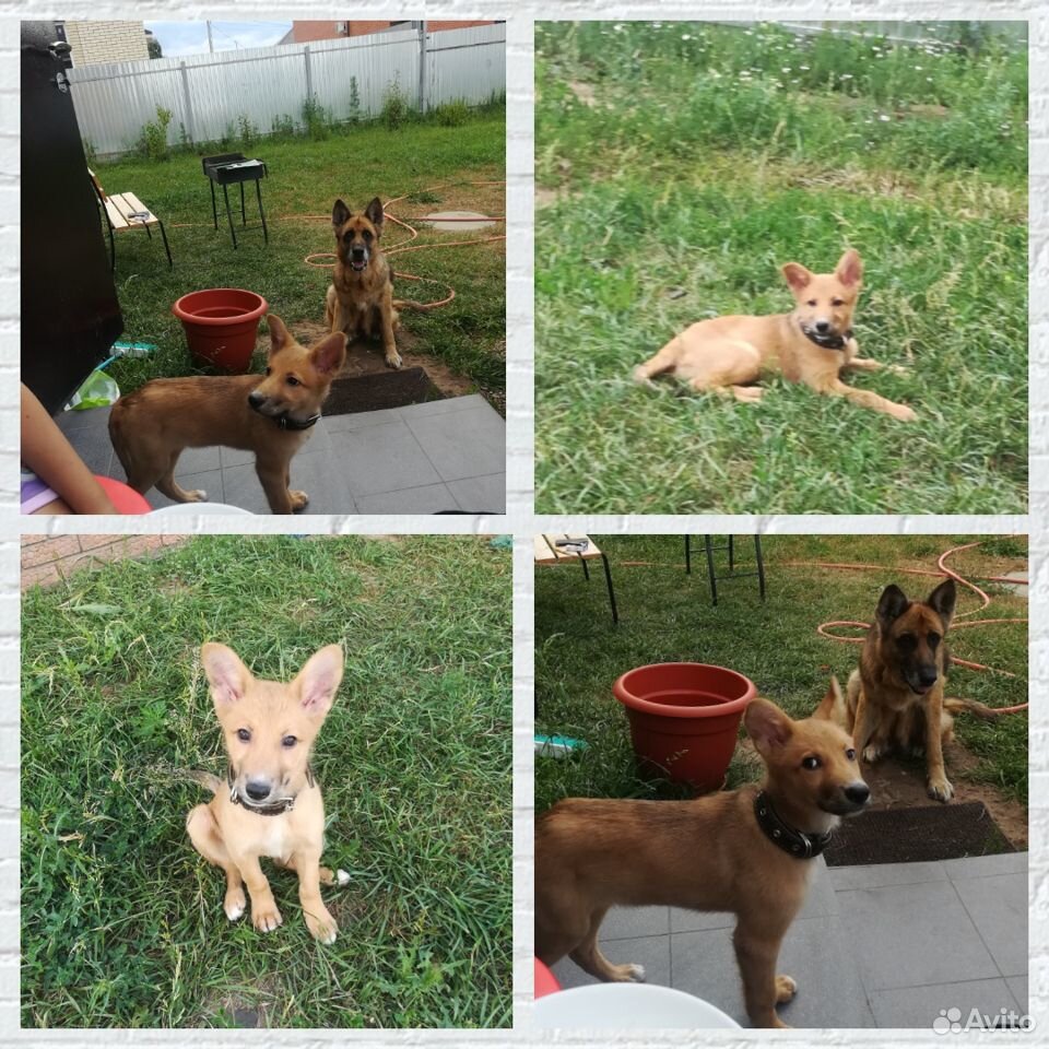 Девочка от мамы Немки в дар