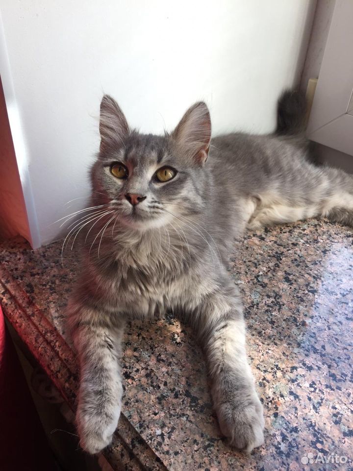 Шикарная и неповторимая Буся ищет ответственных хо