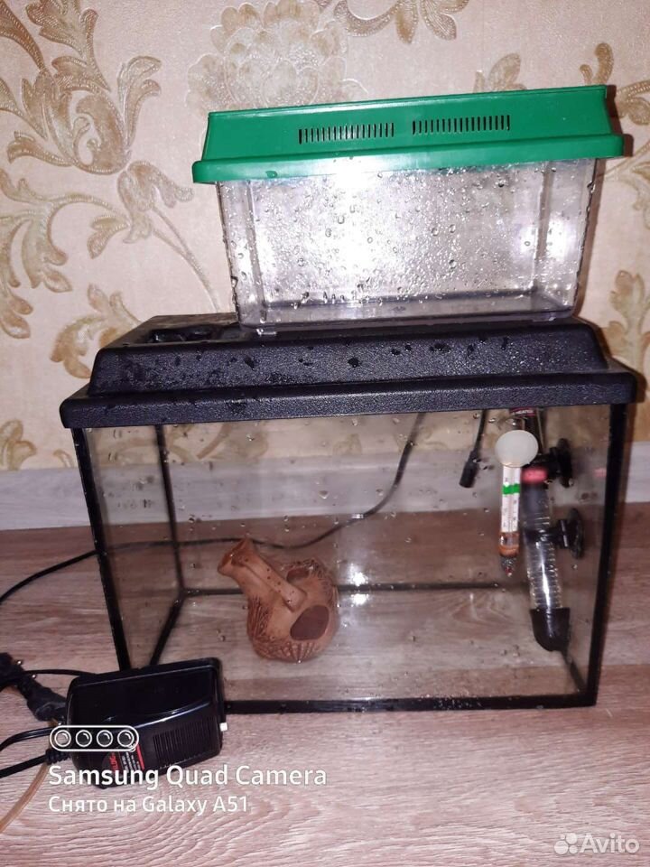 Аквариум и переноска для рыбок