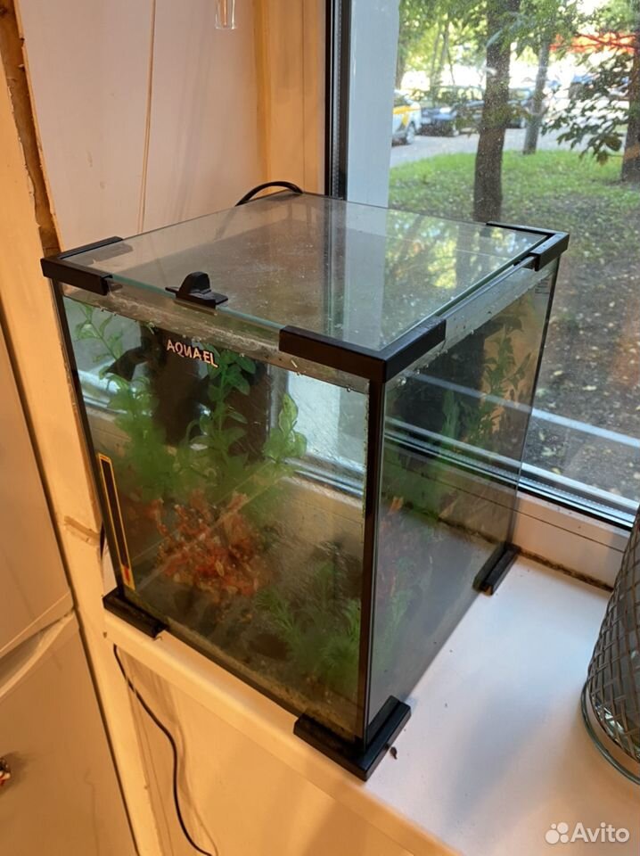 Аквариум aquael cube