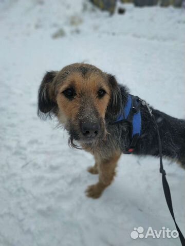 Ёлочка ищет самые заботливые ручки