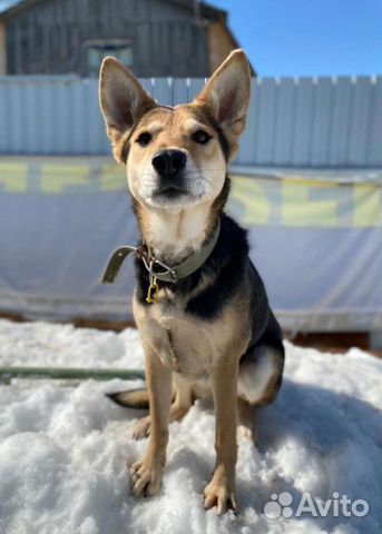 Джули в ожидании своего человека. В добрые руки