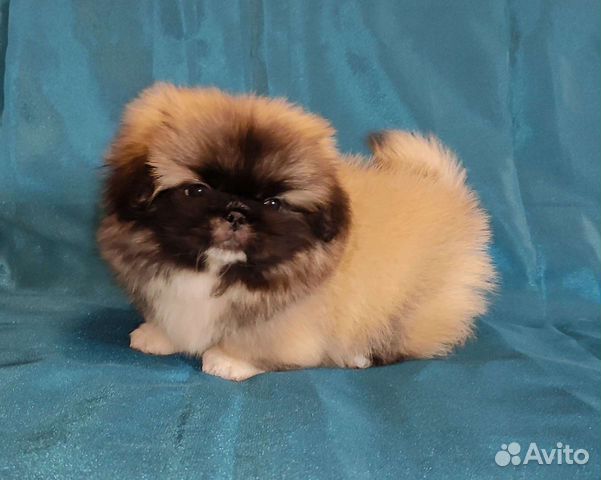 Милый мальчуган