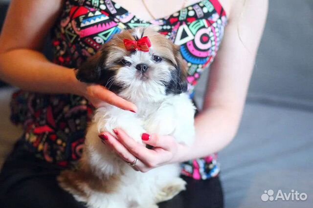 Светлая Фея из Сказки