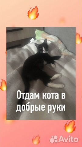Отдам в добрые руки