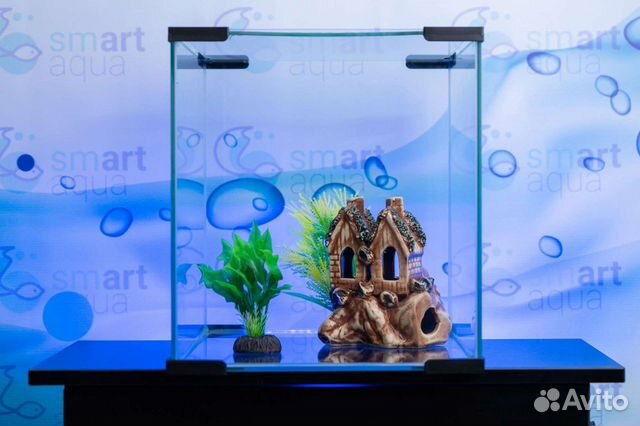 Аквариум