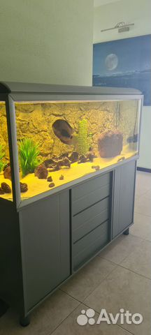 Аквариум с тумбой Aquastabil 325 л