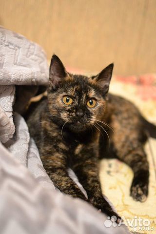 Ох уж эта Варенька :)