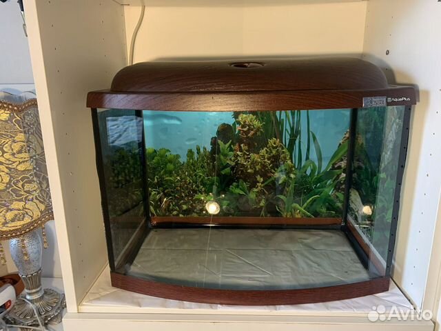 Аквариум с принадлежностями