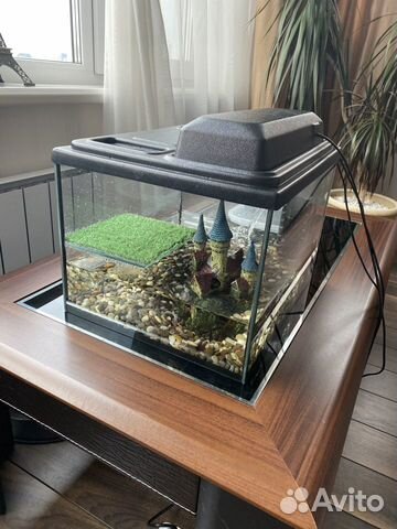 Террариум для черепахи