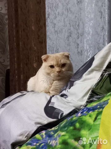 Котик для вязки