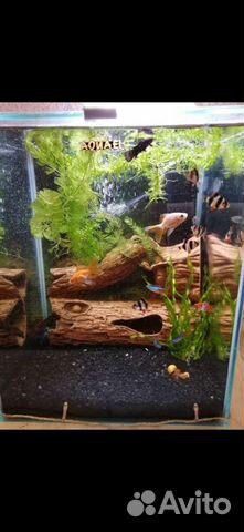Аквариум куб 30 л