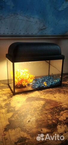 Аквариум