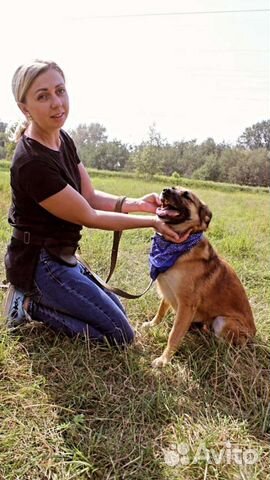 Собака плачет, когда идёт на прогулку