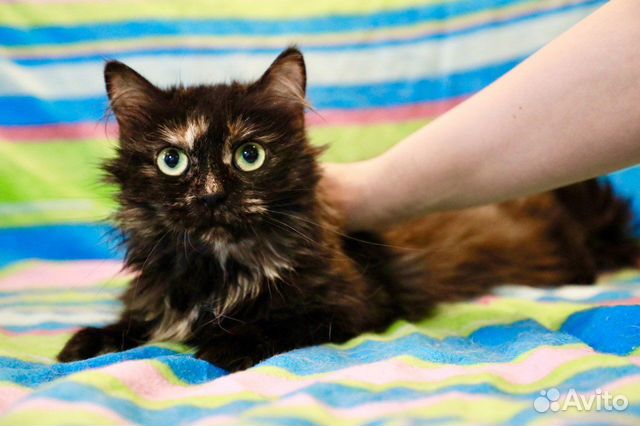 Лапушка - самая нежная и ласковая девочка