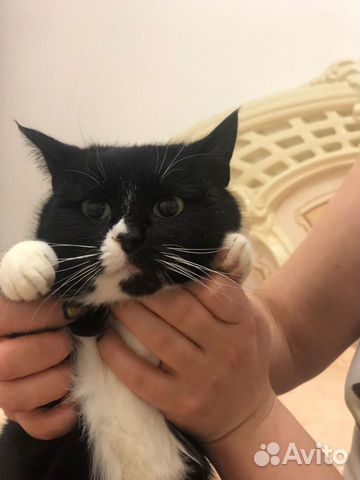 Плюшевая толстушка-ласкушка,6 мес