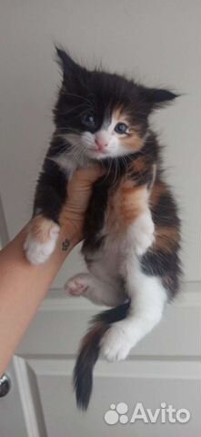 Яркая и необычная сибирская девочка