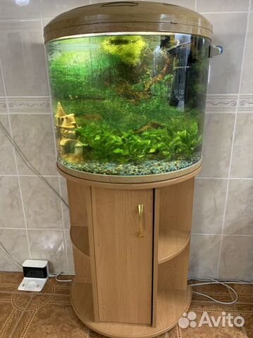 Аквариум