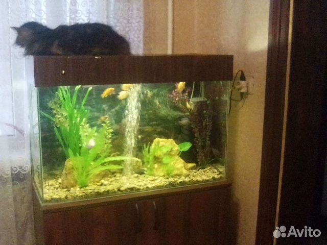 Аквариум