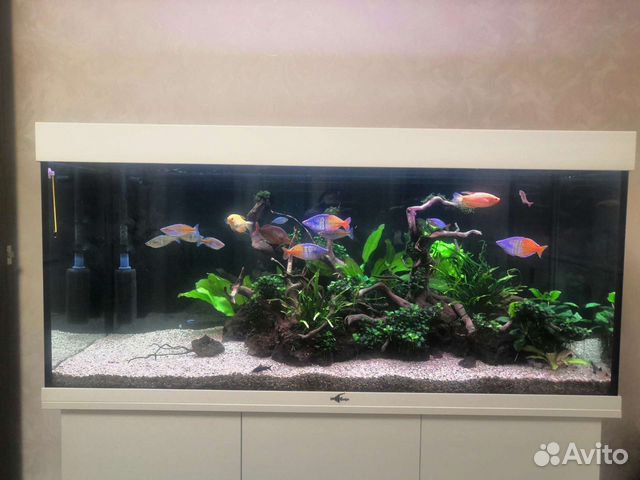 Аквариум Биодизайн риф 280