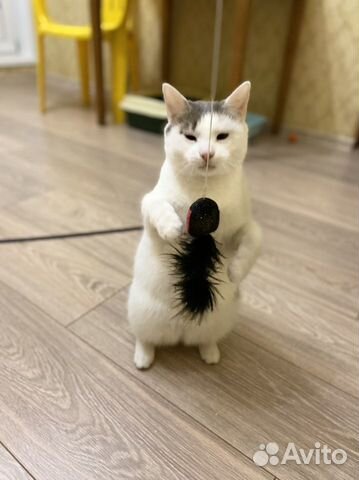 Зая, сладкий Зая