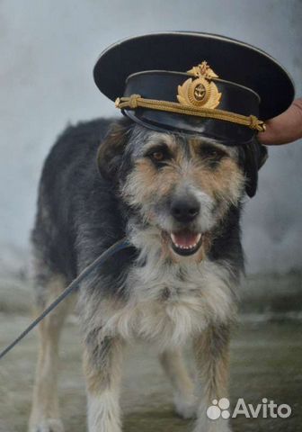 Боб