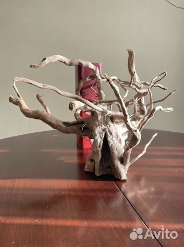 Коряга для аквариума Сакура