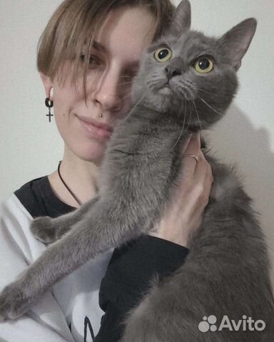 Передам в добрые руки