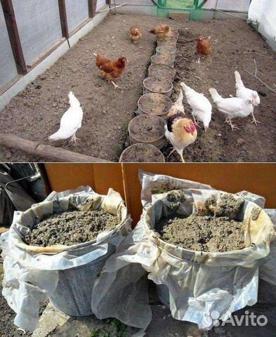 Куриный помет