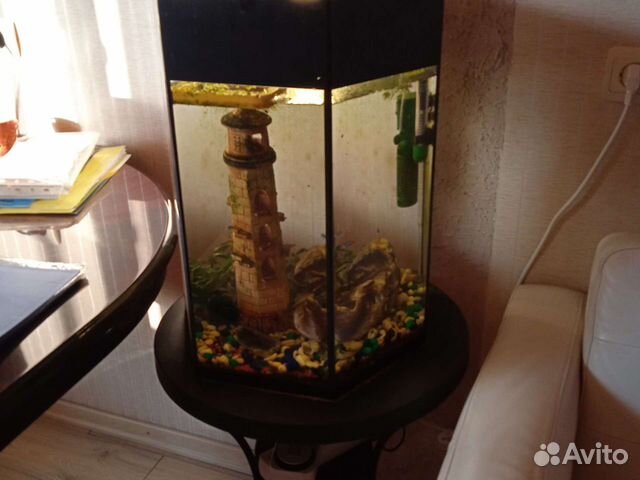 Аквариум