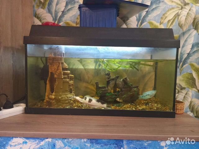 Аквариум