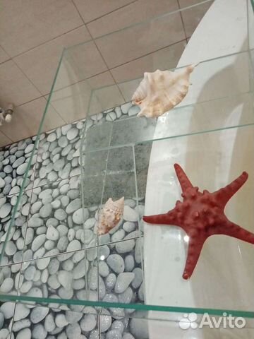 Аквариум террариум