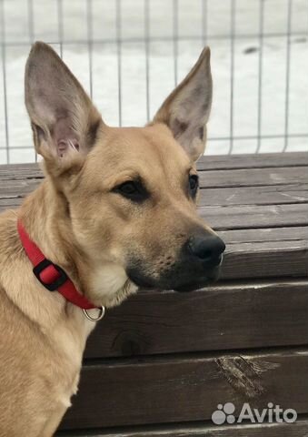 Трудный подросток в добрые руки