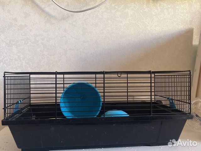 Хомяк с клеткой