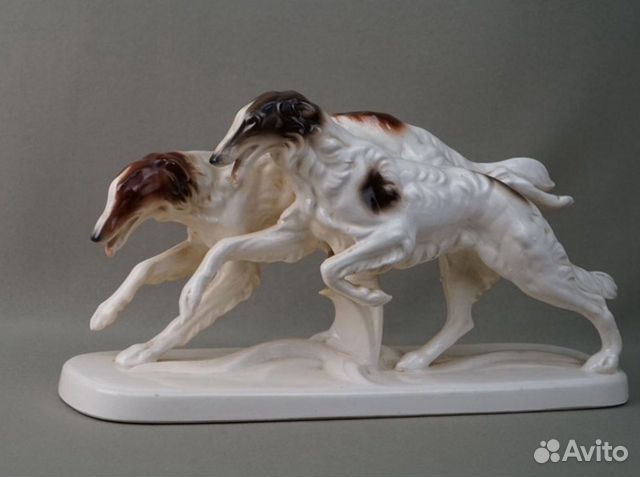 Шикарные большие русские борзые гончие легавые