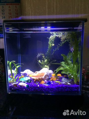 Аквариум