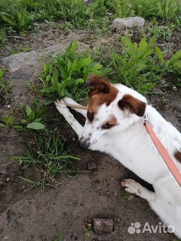 Красотке нужен дом