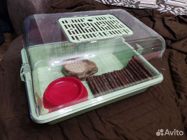 Террариум для улитки