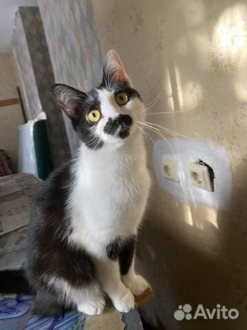 Евочка в ответственные руки